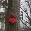 Red Cardinal Metal Bird / Metal Bird / Blue Jay Metal Bird / Home Decor ...