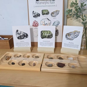 Winter Learning Bundle Unit Study, Nature Study, Charlotte Mason - Etsy