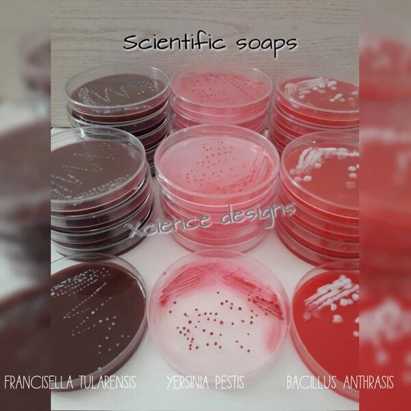 PETRI SOAP, Petri Dish, Cultive Soap, Science Soaps, Biology Soaps ...