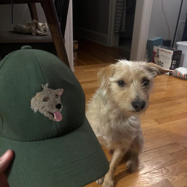 Custom Embroidered Outline Couples Hat From Photo, Couple Embroidery ...