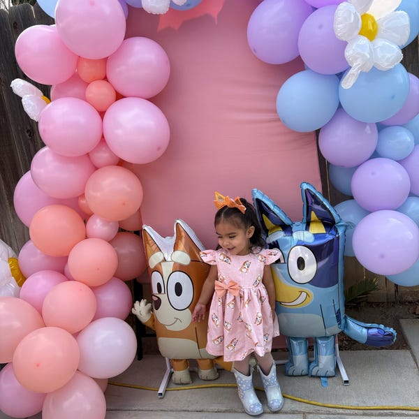 Rainbow Pastel Balloon Garland Featuring Bluey Balloon Birthday Balloon ...