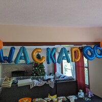 Wackadoo Custom Name is Two Bluey Balloon Banner Bluey Themed Birthday ...
