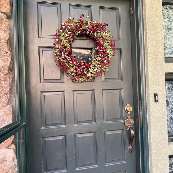 26inch Wreath 26-inch Frosted Pinecone and Eucalyptus Winter Wreath ...