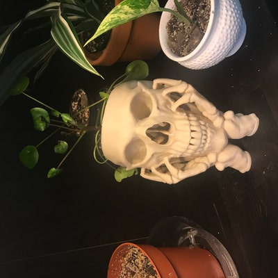 Horror Planter Zombie Bust Plant Pot, Scary & Dark Gothic Sculpture - Etsy