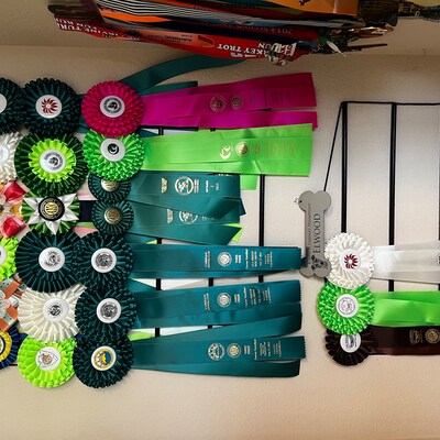 Personalized Crate Tag, Pet Crate Name Sign, Hello My Name is Hanging ...