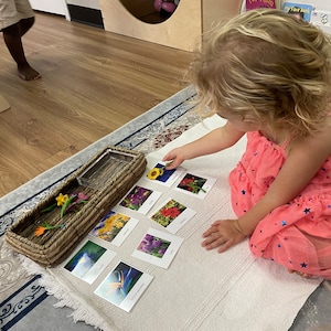 Montessori Around the World 3 Part Cards Digital Download - Etsy