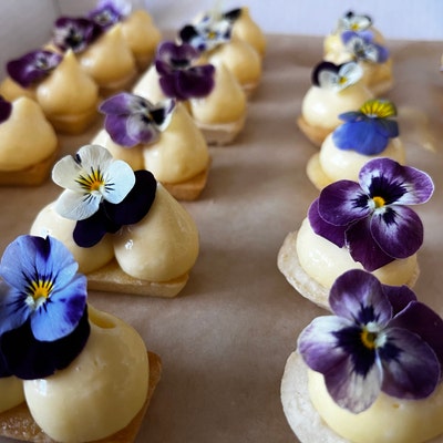 Fresh Edible Flowers Viola 50 Ct - Etsy