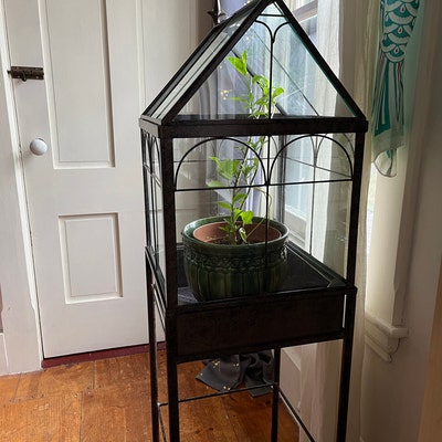 H Potter Large Terrarium Wardian Case, Glass Metal Indoor Display Case ...