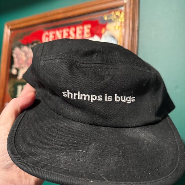 Custom Five Panel Hat, Five Panel Cap With Personalized Embroidery ...