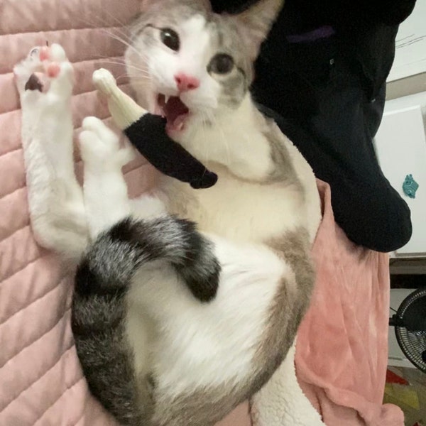 Heavy Duty Kick Sticks, Kick Sticks, Kitty Kickers, Catnip Toys, Cat ...