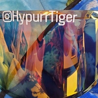 Chunky is the New Hunky Vinyl Car Window, Bodywork, Bumper Sticker ...