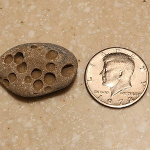 One Single Coral Bead 12 Grams of Antique Red Coral - Etsy