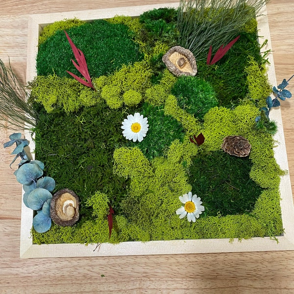 DIY Moss Art Kit, Holiday Gift, Unique Gift Box, DIY Moss Art, Unique ...