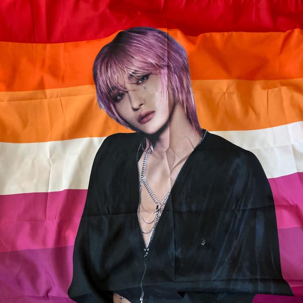 Ain't No Party Like A Diddy Party Funny Flag Tapestry, Meme Flag ...