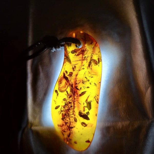 Großer Bernstein mit Insekteneinschluss, baltischer Bernstein mit ...