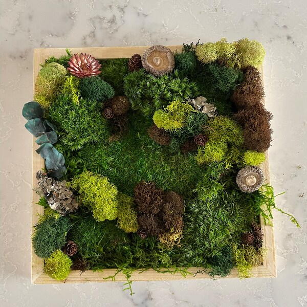 DIY Moss Art Kit, Holiday Gift, Unique Gift Box, DIY Moss Art, Unique ...