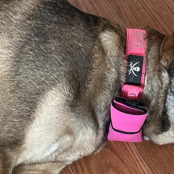 Dog Tag Collar Pouch / Brown Leather Pet Tag Silencer - Etsy