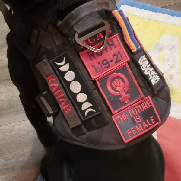 The Future is Female Iron on Applique Iron on Patch With Hook and Loop ...