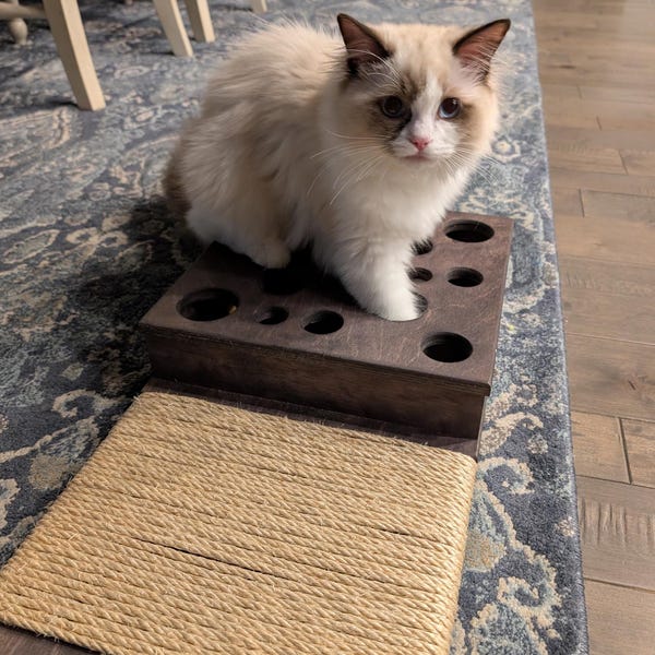 Unique Scratching Post, Cat Climbing Tree With Toys, Solid Wood ...