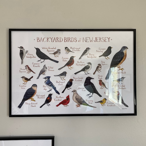 New Jersey Backyard Birds Field Guide Art Print / Watercolor Painting ...