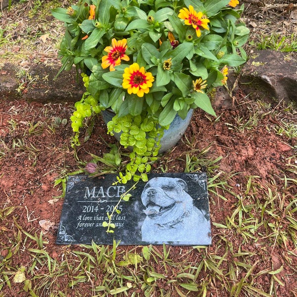 Custom Fish Memorial Stone: Goldfish Betta Koi Guppy | Loss of Pet Fish ...