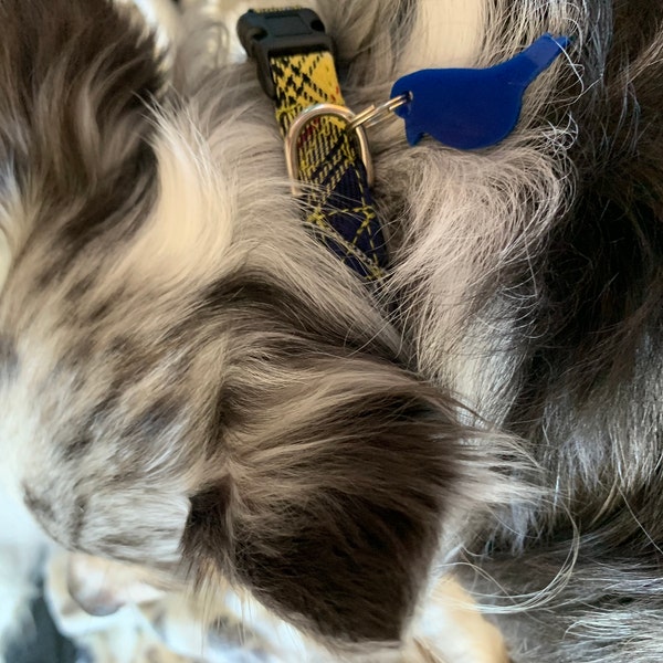 Witches Broom and Hat Dog ID Tag, Custom Spooky Tag for Dogs and ...