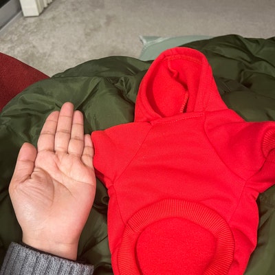 Sunny Delight Marigold, Nasturtium Organic for Pets Such as Rabbit ...