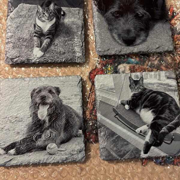 Photo Coasters for Dog Owners, Perfect Gift for Pet Lovers, Images ...