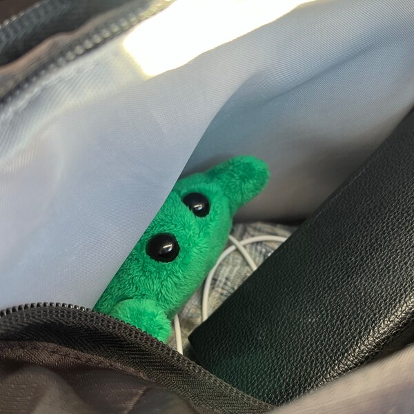 Mini Me Plush - Etsy