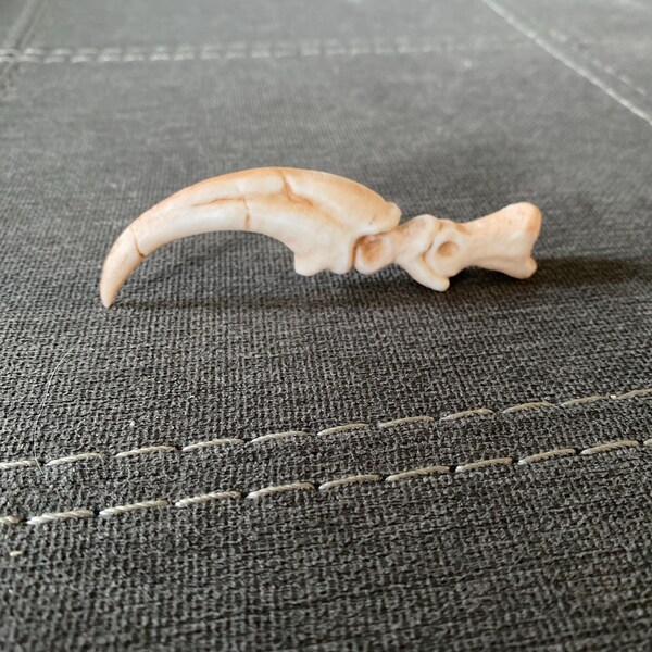 Velociraptor Replica Claw 3D Printed - Etsy
