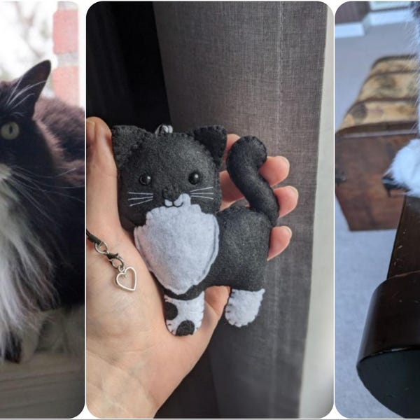 Felt Cat Paw Cute Bookmark Gift Idea for Book Reader, Pet Bookmark - Etsy