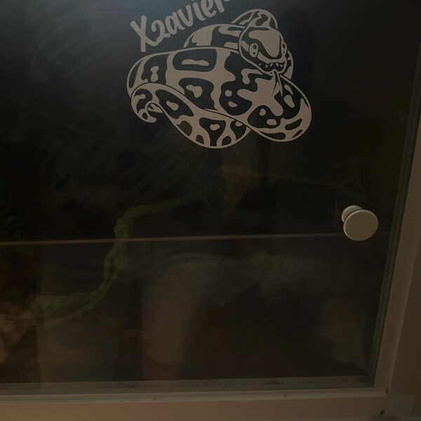 Ball Python Custom Name Decal | Pied Ball Python - Etsy