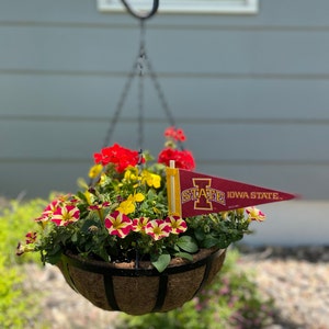 Offray MLB Atlanta Braves Fabric Ribbon 2-1/2-inch by 9-feet - Etsy