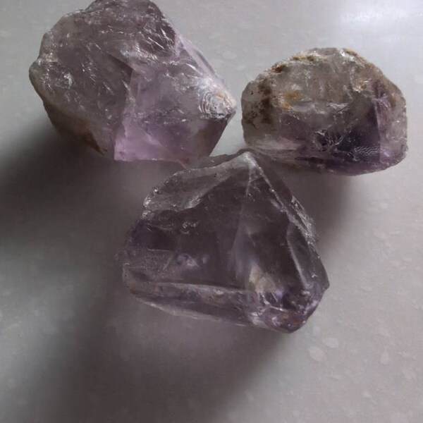 Real Giant Asian Water Bug in Clear Lucite Resin 109mm Preserved ...