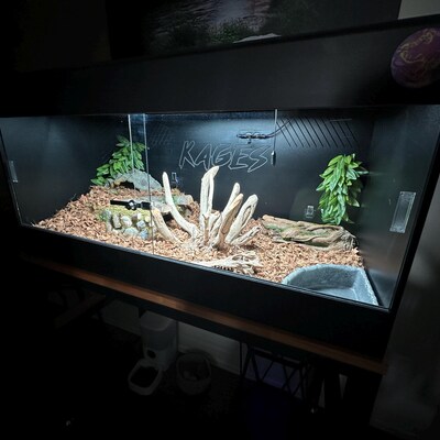 XL Large Reptile Hide/cave - Etsy