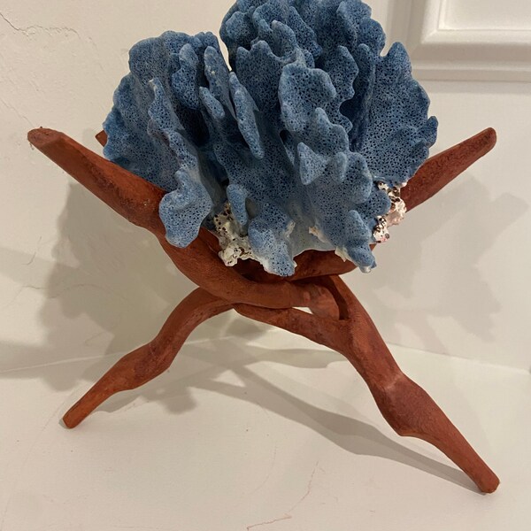 Large Wood Display Stand I Large Wooden Display Stand I Conch Shell ...