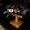 Raven Skeleton Prop on A Rustic Wooden Perch - Etsy