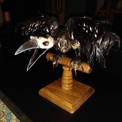 Raven Skeleton Prop on A Rustic Wooden Perch - Etsy