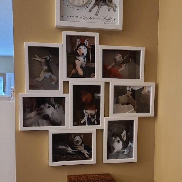 Paw Print Holder Pet Memorial, Clay Paw Print Display Shadow Box, Pet ...