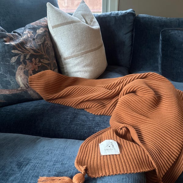 Lumi Living 100% Soft Cotton Textured Raised Stripes Rib Knit Throw ...