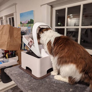 Surefeed Feeder Adjustable Stand raised / Tilted - Etsy