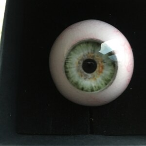 Complete Round Realistic Human Eyeball, Available in 6 Different Colors ...