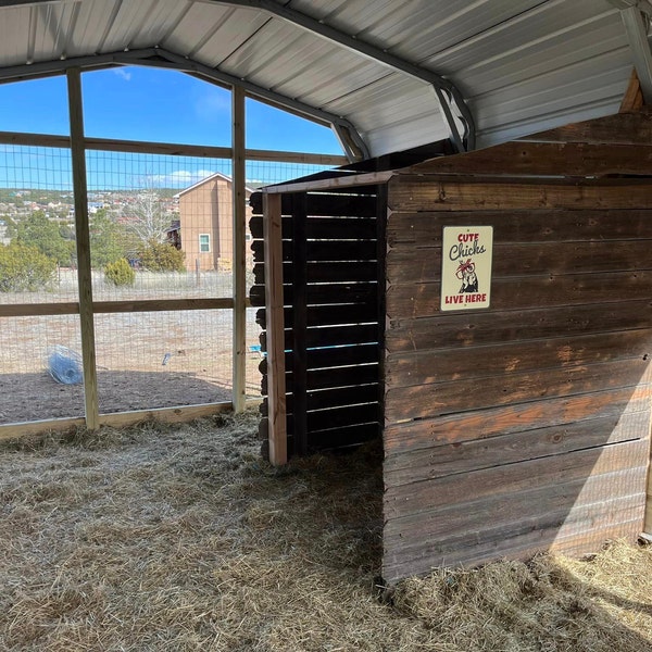 Cute Chicks Sign, Sign for Chicks, Farmers Coop, Chicken Home, Chick ...