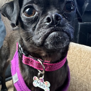 Pretty Dog Tag for Dog, Faux Wood, Girl Dog Name Tag, Personalized Pet ...