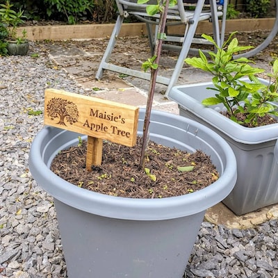 Bug Hotel Sign, Personalised Garden Sign for Kids, Ladybird Plaque for ...