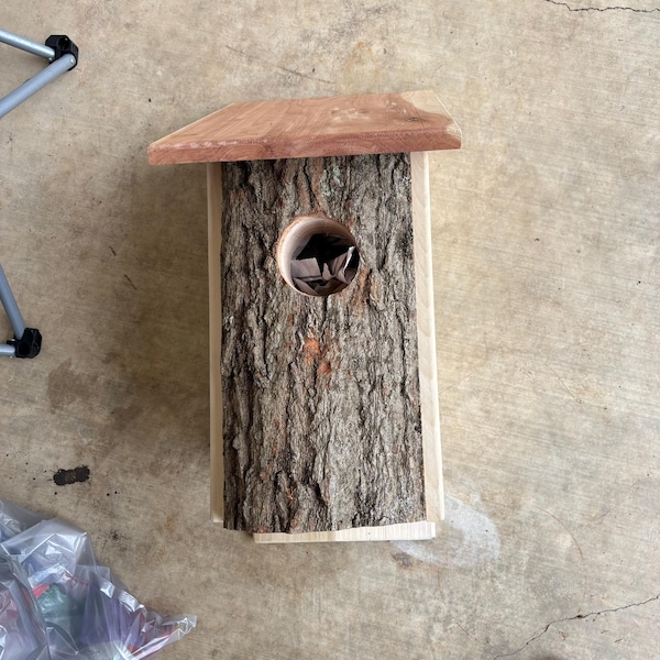 Bark Faced Screech Owl House and FREE Gifts - Etsy