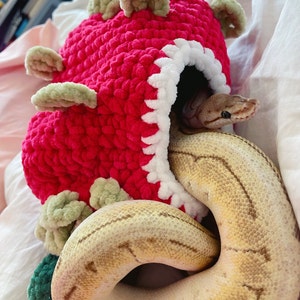 Reggie the Rhyming Raccoon Crocheted Plush From Drawing - Etsy