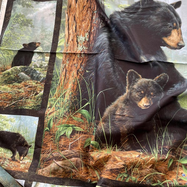 Rip Roaring Rodeo - Barrel Racing / Bronco Busting - HORSES - #1150-06 ...