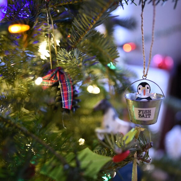 Tibia Spindle Sea Shells White Tibia Shell Long Pointy Shells Shabby ...