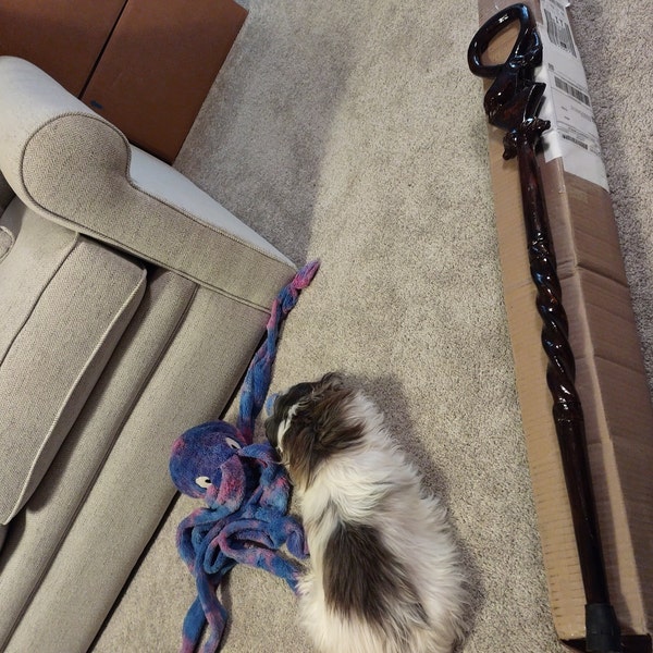 Diamond Willow Staff/walking Stick/mattah - Etsy